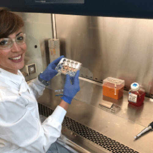 Dr Nathalie Bock's Cancer Research Projects | Cure Cancer